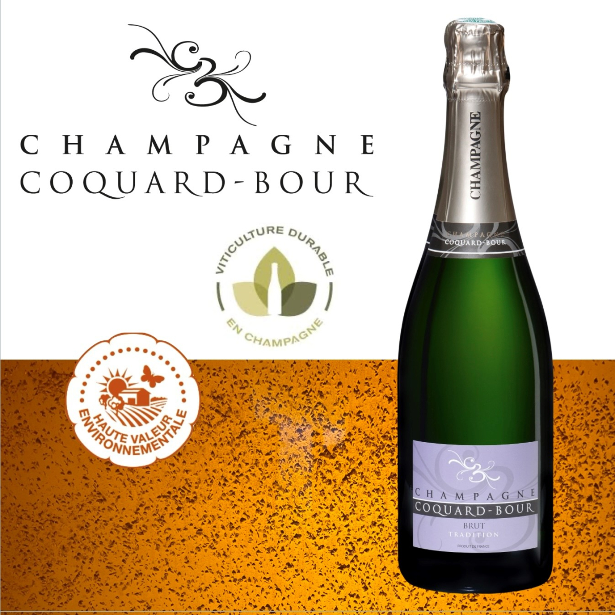 Champagne Coquard-Bour, Brut Tradition - Bobler - Wine Advisor