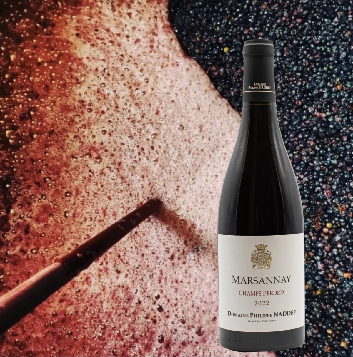 Philippe Naddef, Marsannay Champs Perdrix - Côte de Nuits - Wine Advisor