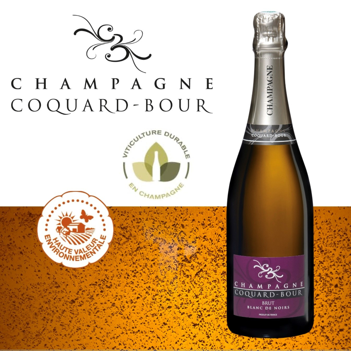 Champagne Coquard-Bour, Brut Blanc de Noirs - Bobler - Wine Advisor